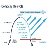 The Life Cycle of a Company - Fashion Capital